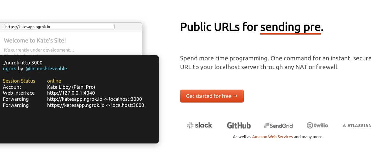 Ngrok | Flowr Agency